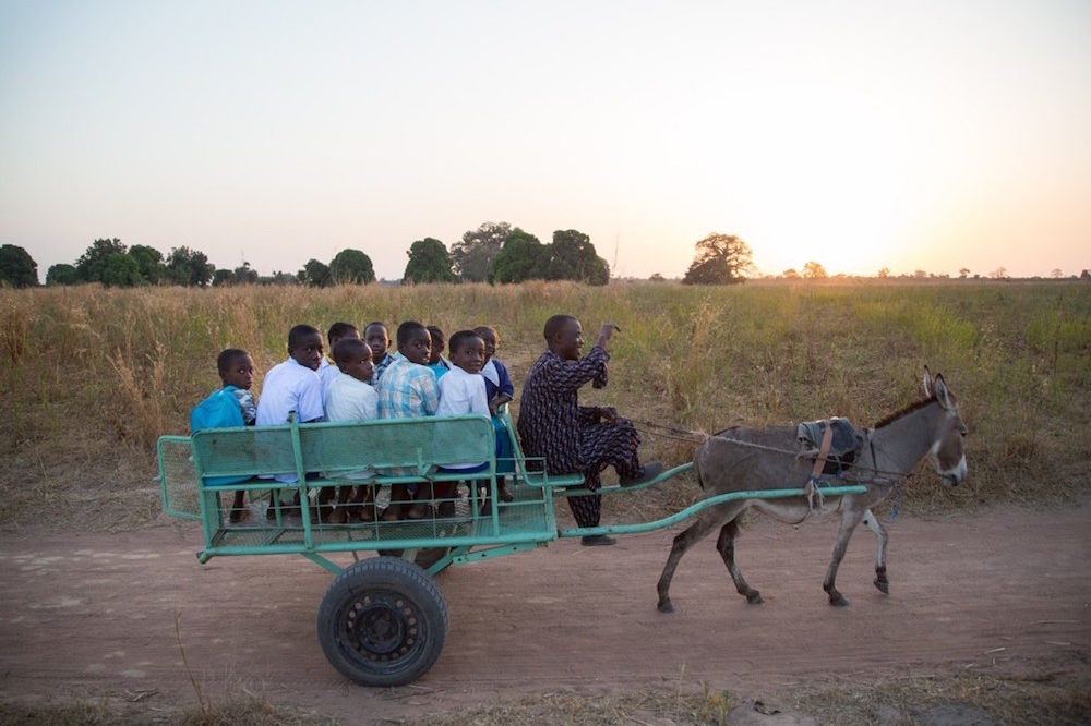 'Donkey school buses' take young children to their classes Theirworld